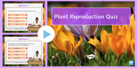 What is Reproduction in Plants? - Answered - Twinkl teaching Wiki