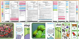 EYFS Jungle and Rainforest Themed Lesson Plan and Enhancement Ideas ...