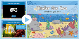What Am I? Sea Creatures Guessing Game PowerPoint | Twinkl