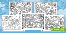 Blue Tit Fact File - KS1 - Twinkl