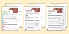 New Zealand Scavenger Hunt Activity Pack (teacher made)