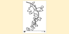 FREE! - Golden Wattle Plant Colouring Sheet | Colouring Sheets