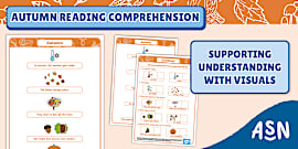 Summer Reading Comprehension with Visual Supports