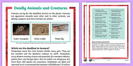 Deadly Animals Worksheet / Worksheet (teacher made)
