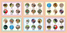 Animal Bingo (teacher made) - Twinkl