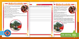 Lunar New Year Reading Comprehension French (teacher made)