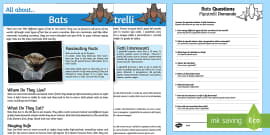Bat Information for Children | Reading Comprehension Pack