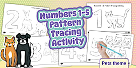 Numbers 1-5 Minibeast Pattern Tracing Activity