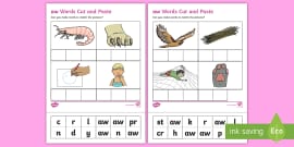 ‘aw’ Sound Phonics Activity Pack - CfE First Level Resources