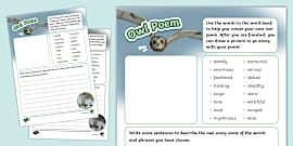 Owl Writing Template (teacher made) - Twinkl