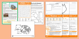 What is a wombat? - Answered - Twinkl Teaching Wiki - Twinkl