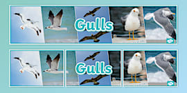 ICT Display Banner, ICT Title, Computing (teacher made)