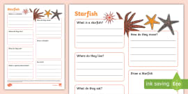 Starfish Resource Pack (teacher made) - Twinkl