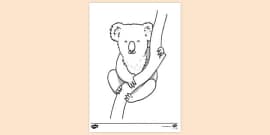 Koala Mindfulness Colouring Page (Lehrer gemacht) - Twinkl