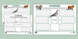 Moon Mind Map (teacher made) - Twinkl