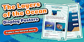 Printable Ocean Layers Worksheet | Twinkl USA