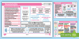 Persuasive Holiday Leaflet | Writing a Travel Brochure KS2