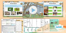 How Humans Change as They Grow PowerPoint Teaching Pack - growth