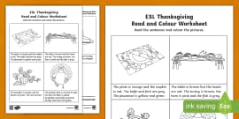 ESL Thanksgiving Worksheet (teacher made) - Twinkl