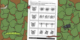Minibeasts matching Worksheet - Arabic/English - Twinkl