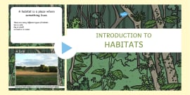 Animal Habitats PowerPoint (teacher made)