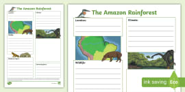 Rainforest Habitat Facts - Differentiated Animal Fact Files