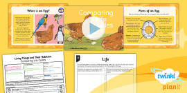 Comparing Plant and Animal Life Cycle Venn Diagram Worksheet