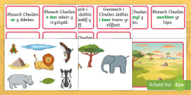 Taith Fawr Chwilen: Cardiau Paru Iaith Safle (teacher made)