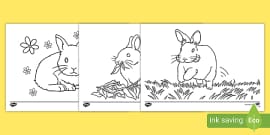 Spring Colouring Pages | Primary Resources (teacher made)