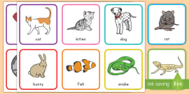 Pet Pairs Rhyming Cards (teacher made) - Twinkl