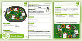 5 Senses Play Tray | EYFS Science Senses | Twinkl