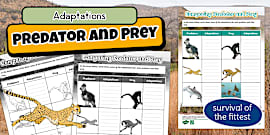 Predator and Prey Worksheet