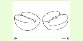 FREE! - Orange Halved Colouring Sheet (teacher made)