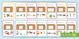 Category Sorting Activity