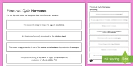 KS3 Menstrual Cycle Storyboard Activity | Biology | Beyond