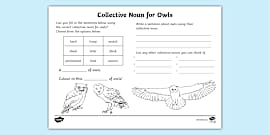 Collective Noun - Crows Worksheet
