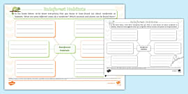 World Rainforest Day 2025| Event Information | Twinkl