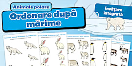 Animale polare - Fotografii