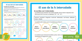 Póster de ortografía ¿B o V? (teacher made) - Twinkl