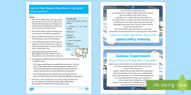 Blubber Experiment (teacher made) - Twinkl