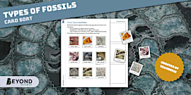 University of KwaZulu Natal How Are Fossils Formed? Activity