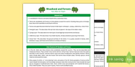 Forest Fact Sheets (Teacher-Made) - Twinkl