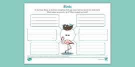 Sea Birds Mind Map (teacher made) - Twinkl