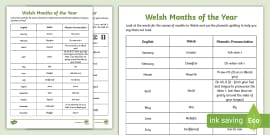 Using the Welsh Language in School Tracking Sheet - Twinkl