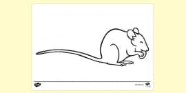 FREE! - Mouse Reading a Book Colouring Sheet | Colouring Sheets