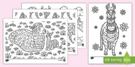 FREE! - Llama Colouring Pages (teacher made) - Twinkl