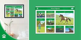 Horses and Ponies Word Mat - ESL Animals Vocabulary - Twinkl