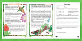 Creatures of the Amazon Rainforest: KS2 Facts Worksheet