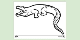 FREE! - Crocodile Billabong Colouring Sheet | Colouring Sheets