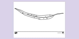 Gum Leaf Template | Primary Resources | Twinkl - Twinkl